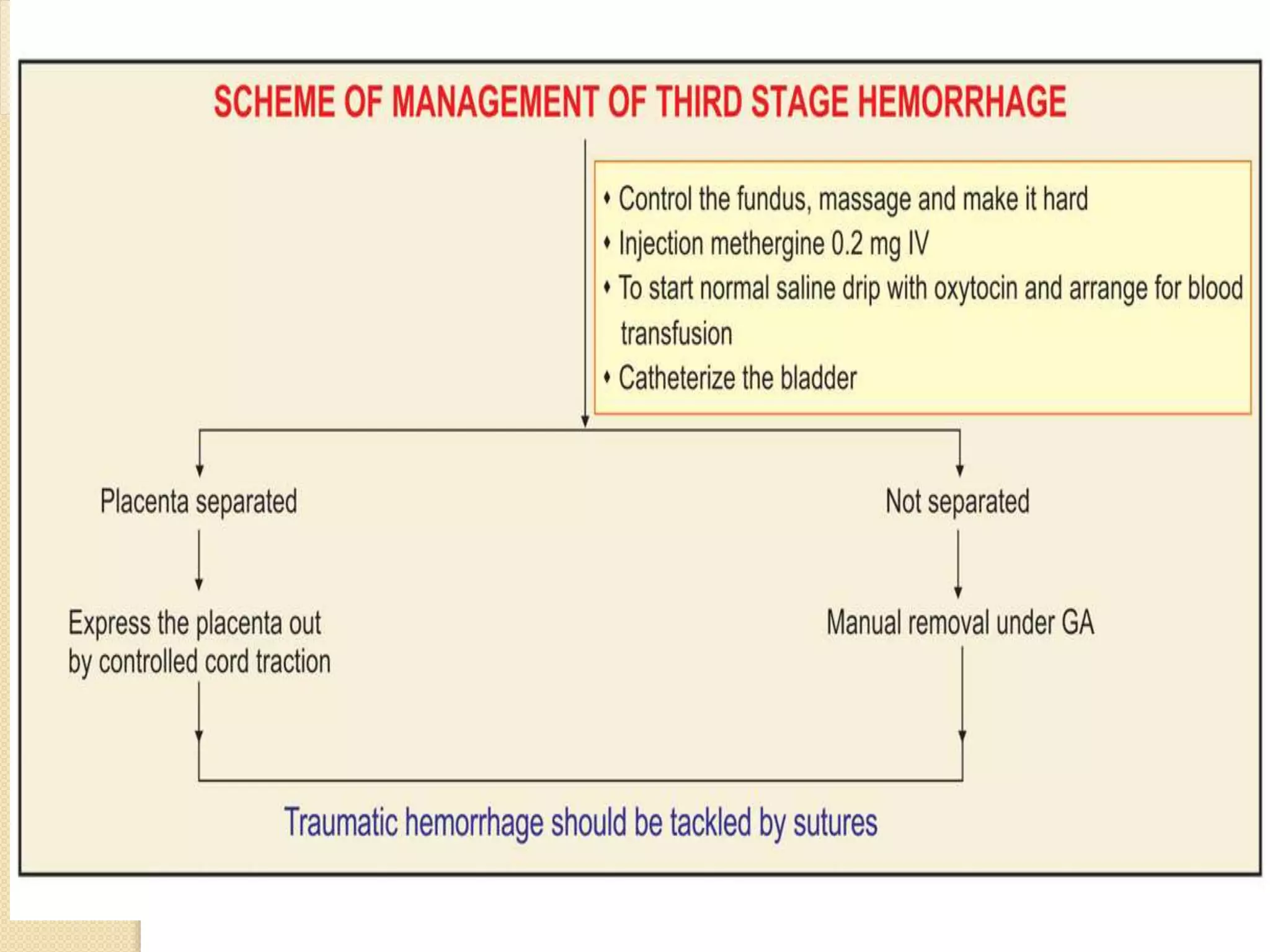 post partum haemorrhage | PPTX