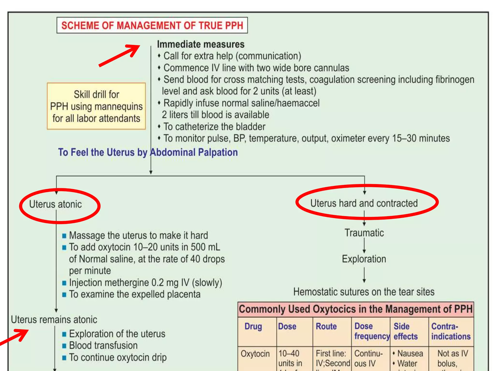 post partum haemorrhage | PPTX
