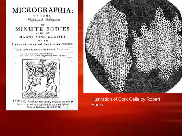 History of the Microscope | PPT