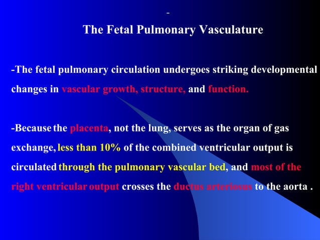 Pphn | PPT | Lung and Respiratory Health | Diseases and Conditions