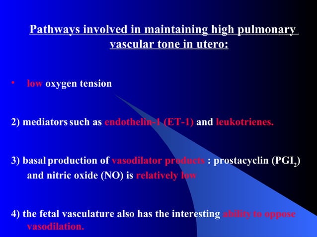 Pphn | PPT | Lung and Respiratory Health | Diseases and Conditions
