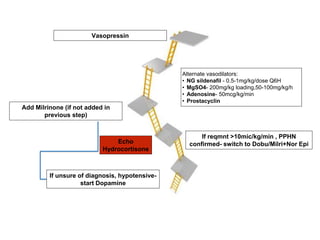 PPHN -pathophysiology and management | PPTX