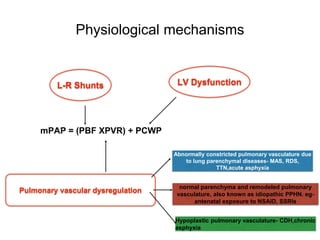 PPHN -pathophysiology and management | PPTX