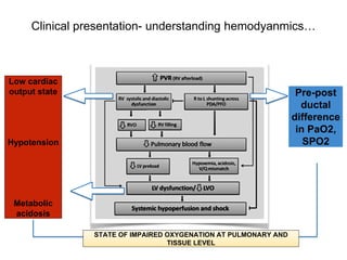 PPHN -pathophysiology and management | PPTX