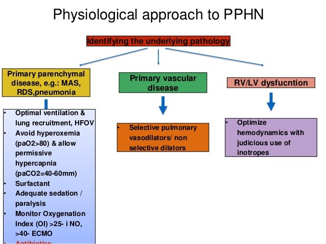 PPHN -pathophysiology and management