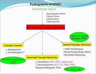 PPHN basic management and treatment..... | PPTX