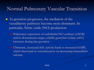 Pphn grand round ksu | PPT