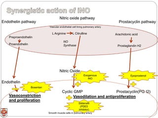 Pphn management | PPSX
