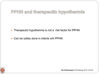 Pphn management | PPSX