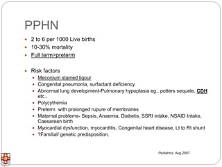 Pphn management | PPSX