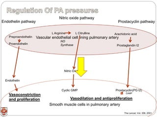 Pphn management | PPSX
