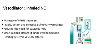 PPHN PPT (1).pptx