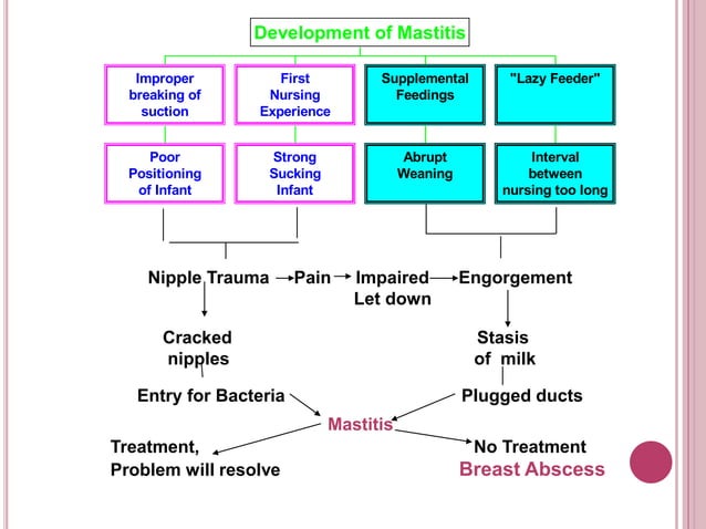 Post partum hemorrhage | PPT