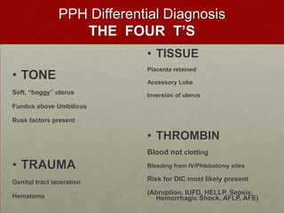 Pph share drive | PPT