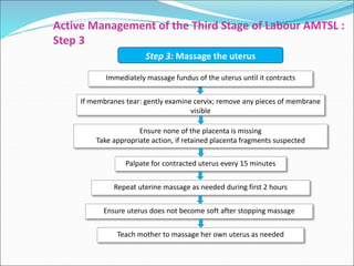 Postpartum Haemorrhage The enemy within2.ppt | Pregnancy | Reproductive ...