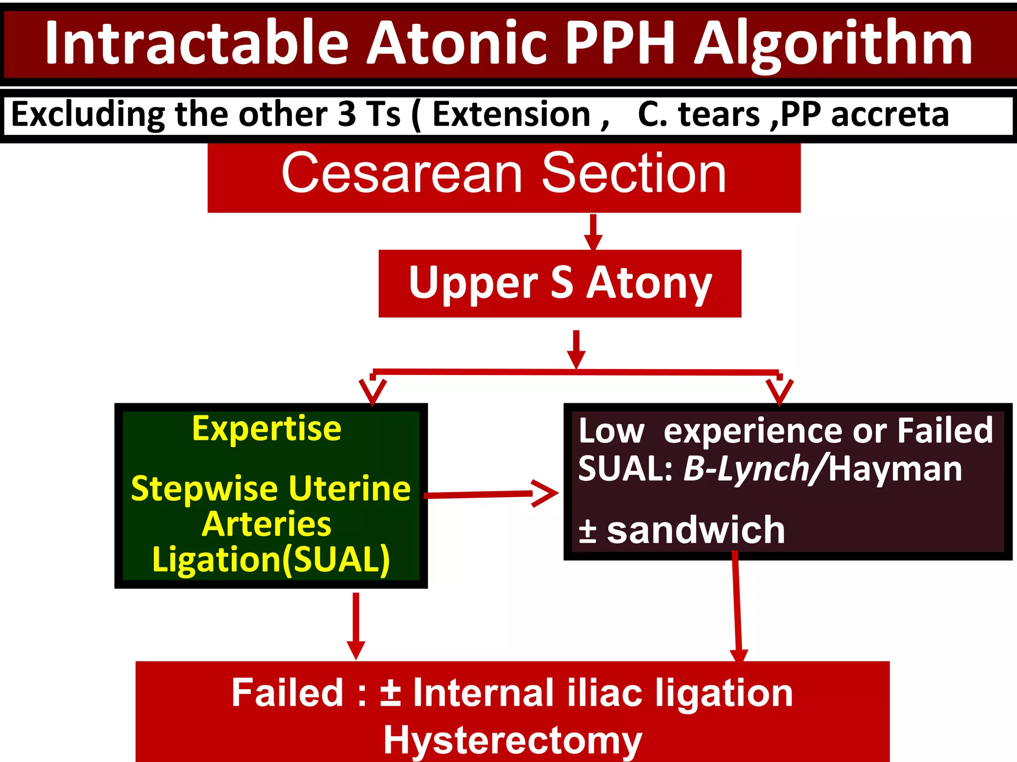 Pph work shop part ii 10 2013 | PPT