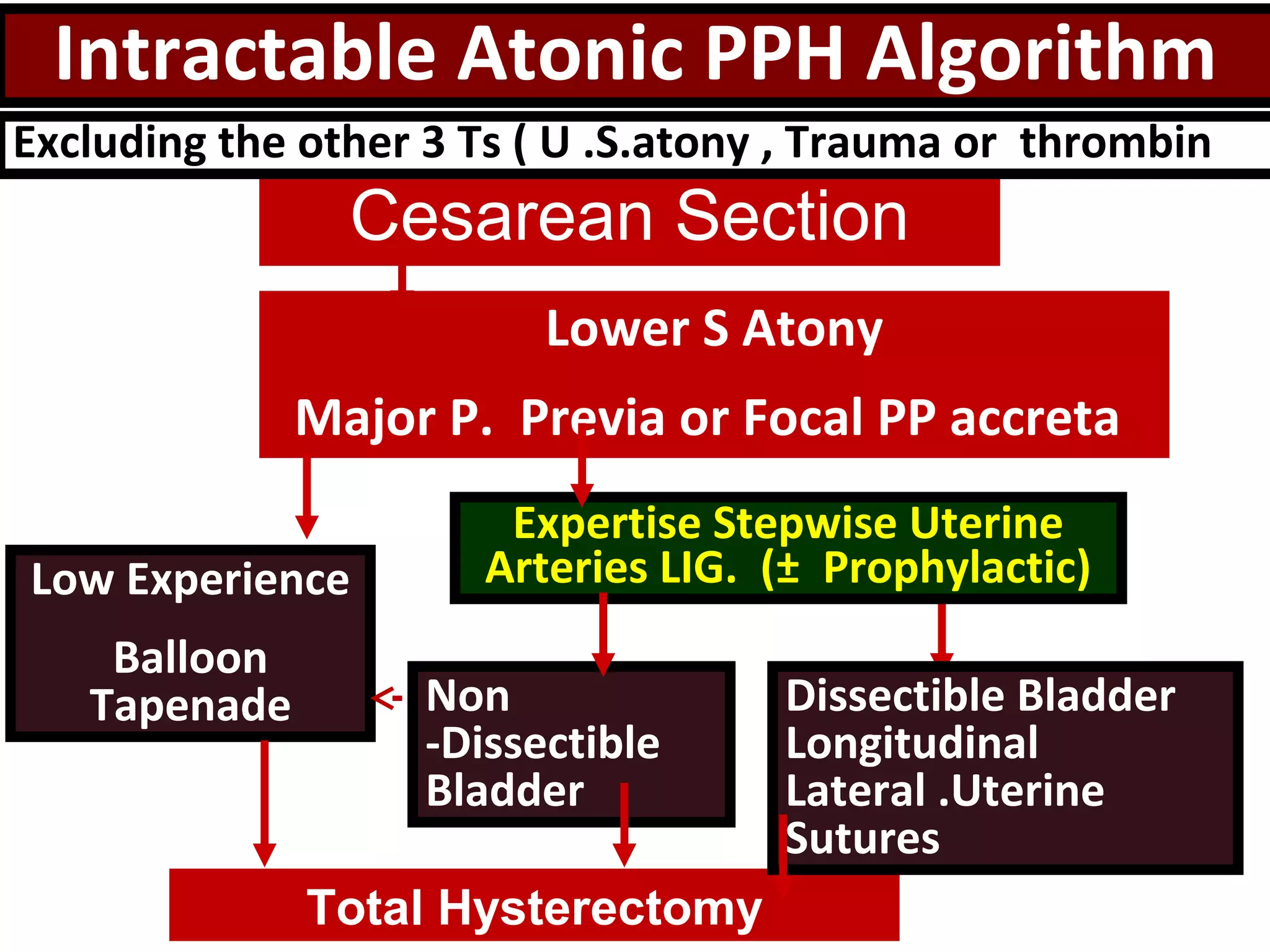Pph work shop part ii 10 2013 | PPT