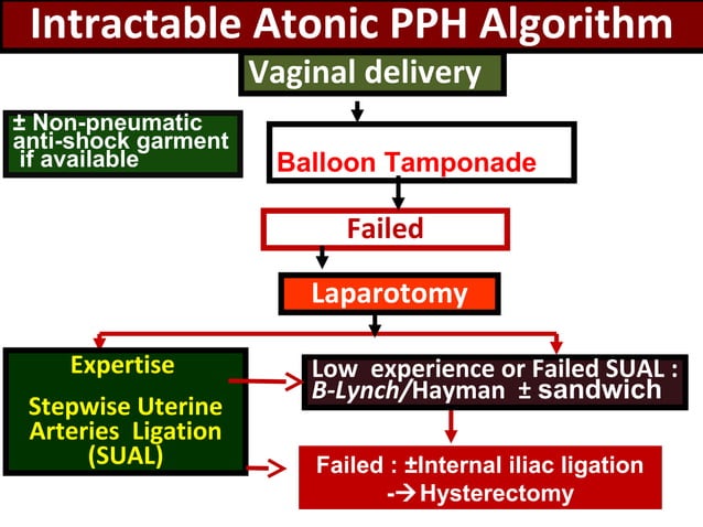 Pph work shop part ii 10 2013 | PPT | Pregnancy | Reproductive Health