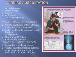 Physical examination of the dogs | PPTX