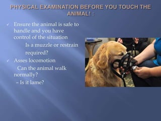Physical examination of the dogs | PPTX
