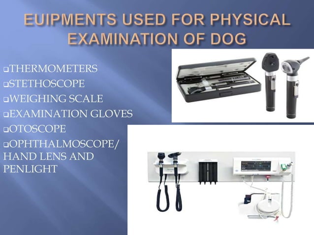 Physical examination of the dogs | PPTX