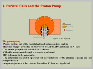 PROTON PUMP INHIBITORS | PPT