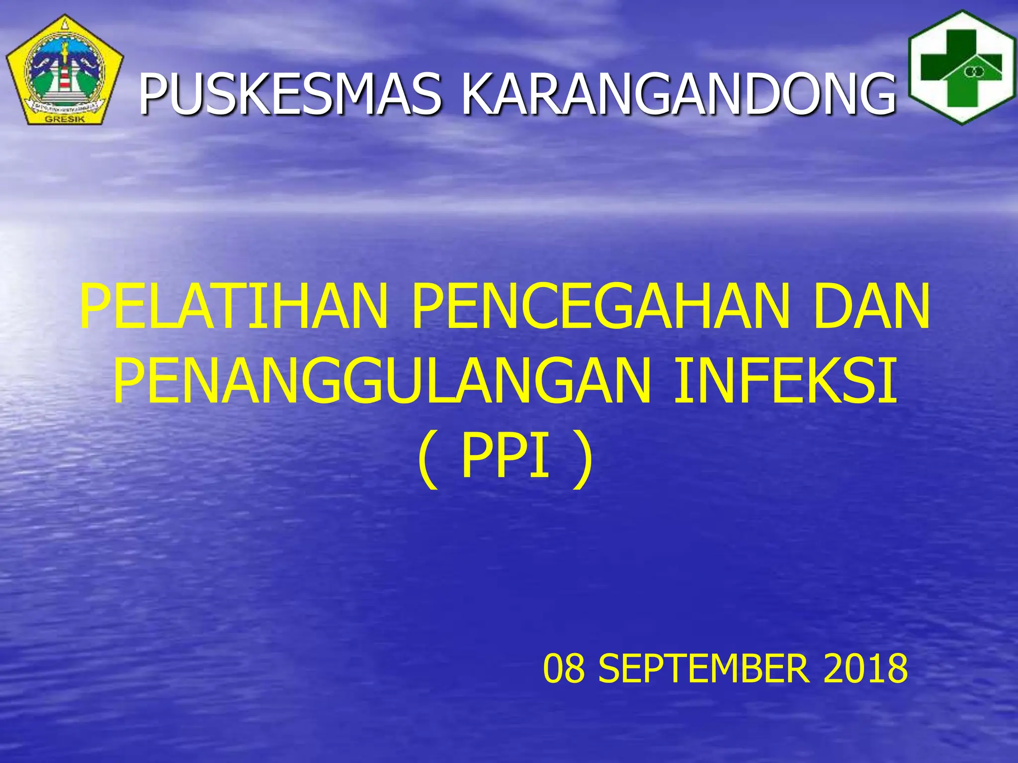 PPI.ppt