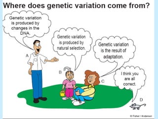 genetic variations | PPT
