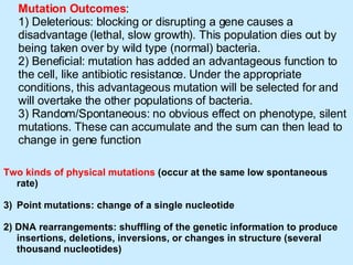 genetic variations | PPT