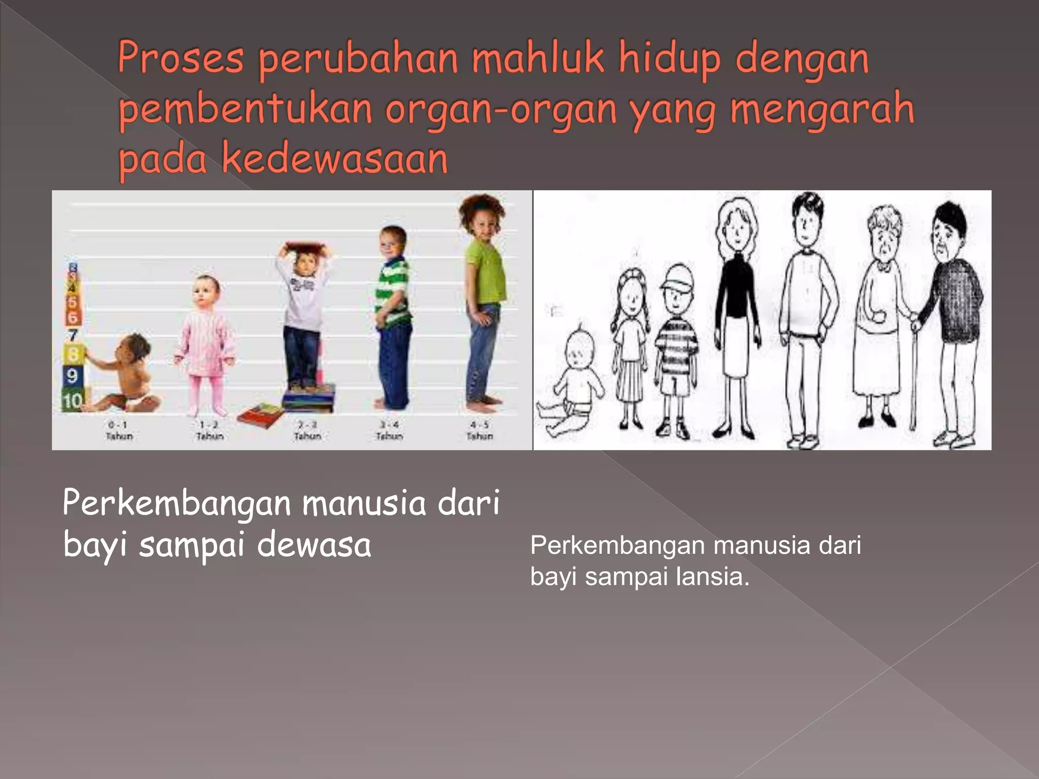 Pertumbuhan dan perkembangan manusia | PPTX
