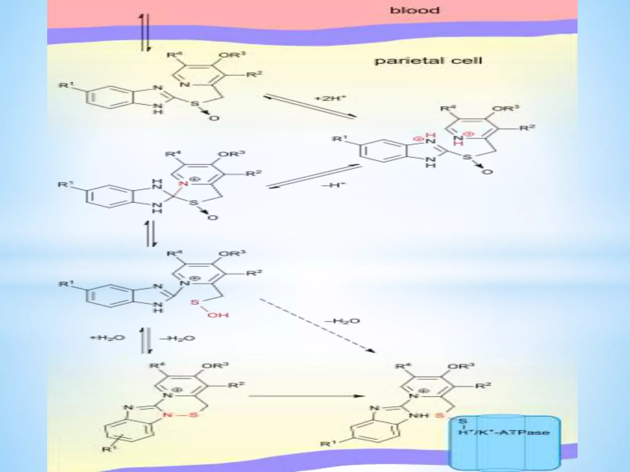 proton pump inhibitors discovery and development | PPTX