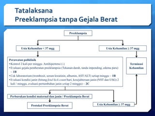 PPK Preeklampsia.pptx