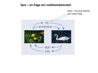 Pp kretslopp av olika slag | PPTX