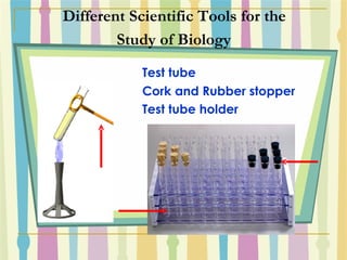 Lab Tools | PPT | Chemistry | Science