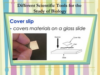 Lab Tools | PPT | Chemistry | Science