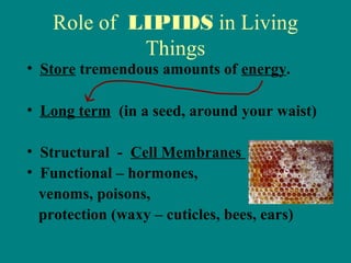 P p lipids wnotes #5 | PPT