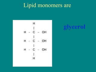 P p lipids wnotes #5 | PPT