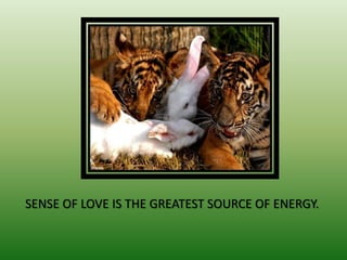 LOVE SENSE | PPT