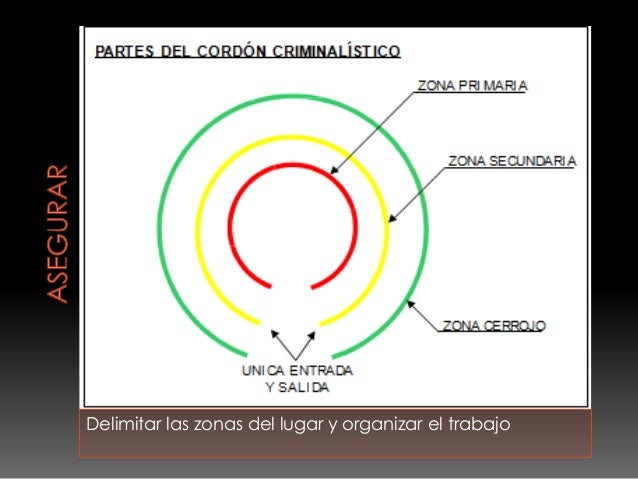 Pasos en el análisis de la escena del crimen