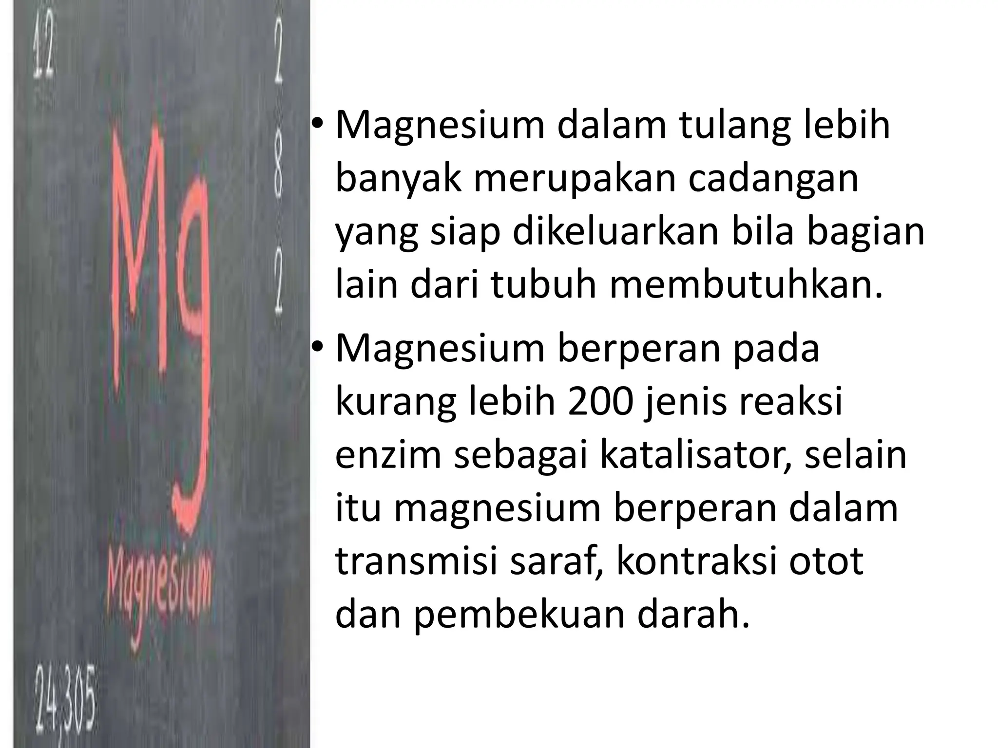 powerpoint tentang pengertian magnesium.pptx