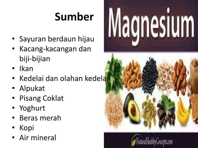 powerpoint tentang pengertian magnesium.pptx