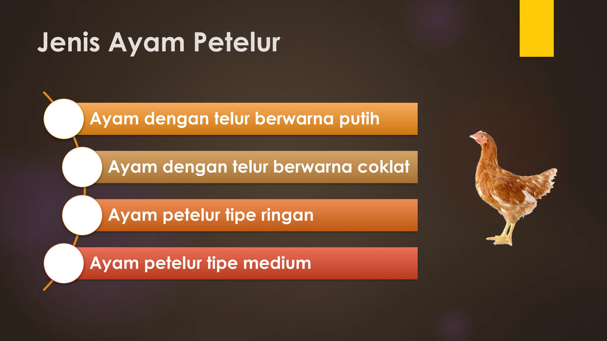 Manajemen Budidaya dan Sanitasi Ayam Petelur.ppt