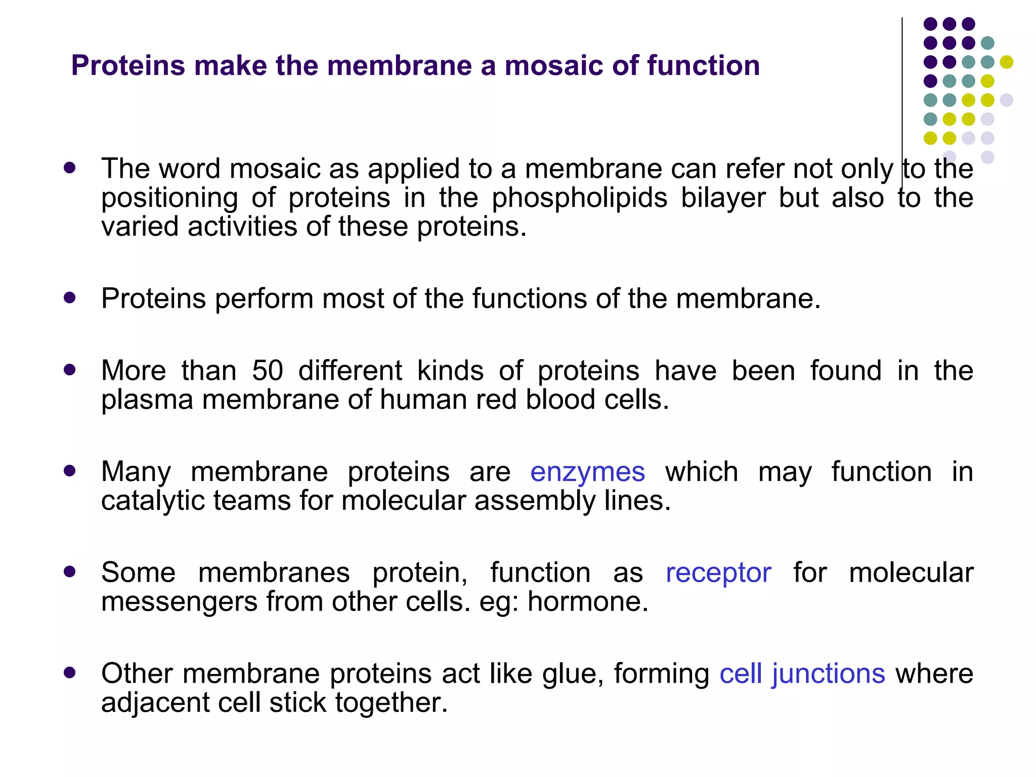 Ppmb 101 Plasma Membrane And Transportation 2 | PPT
