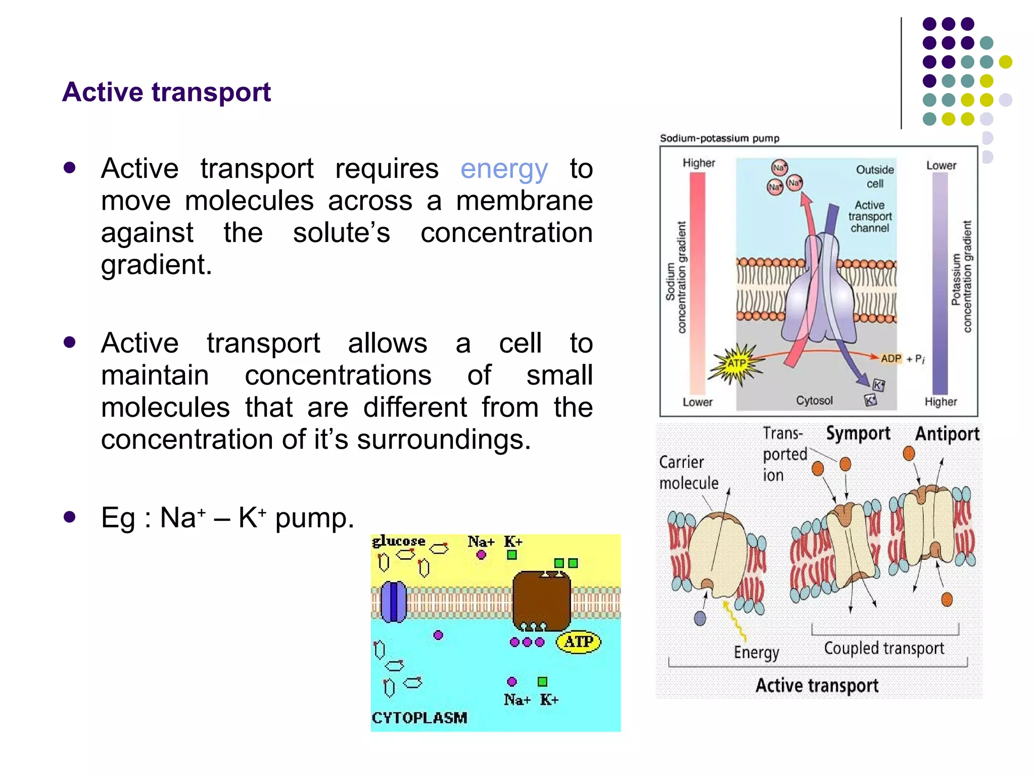 Ppmb 101 Plasma Membrane And Transportation 2 | PPT