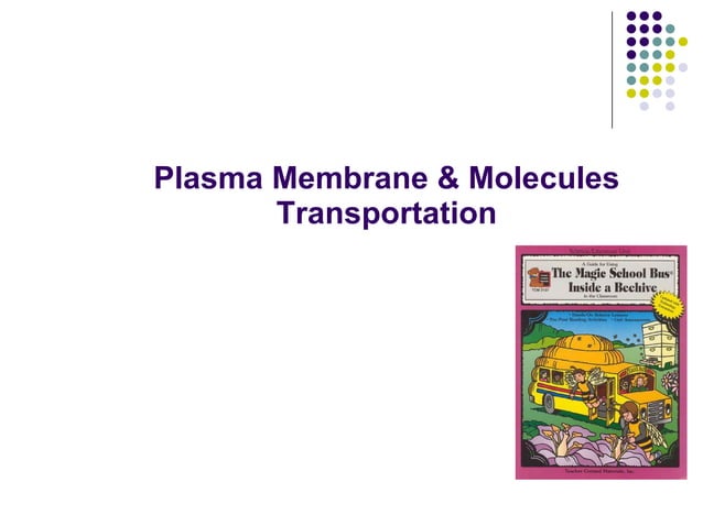 Ppmb 101 Plasma Membrane And Transportation 2 | PPT