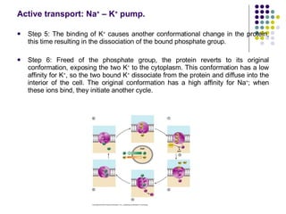 Ppmb 101 Plasma Membrane And Transportation 2 | PPT