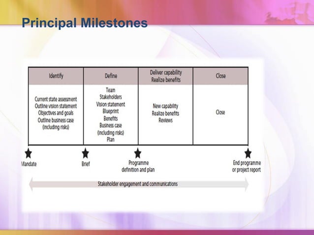 Approach to a Project Portfolio Management office from a P30 ...