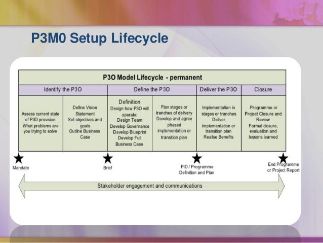 Approach to a Project Portfolio Management office from a P30 perspect…