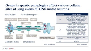 Genome sequencing uncovers MS phenocopies in primary progressive ...