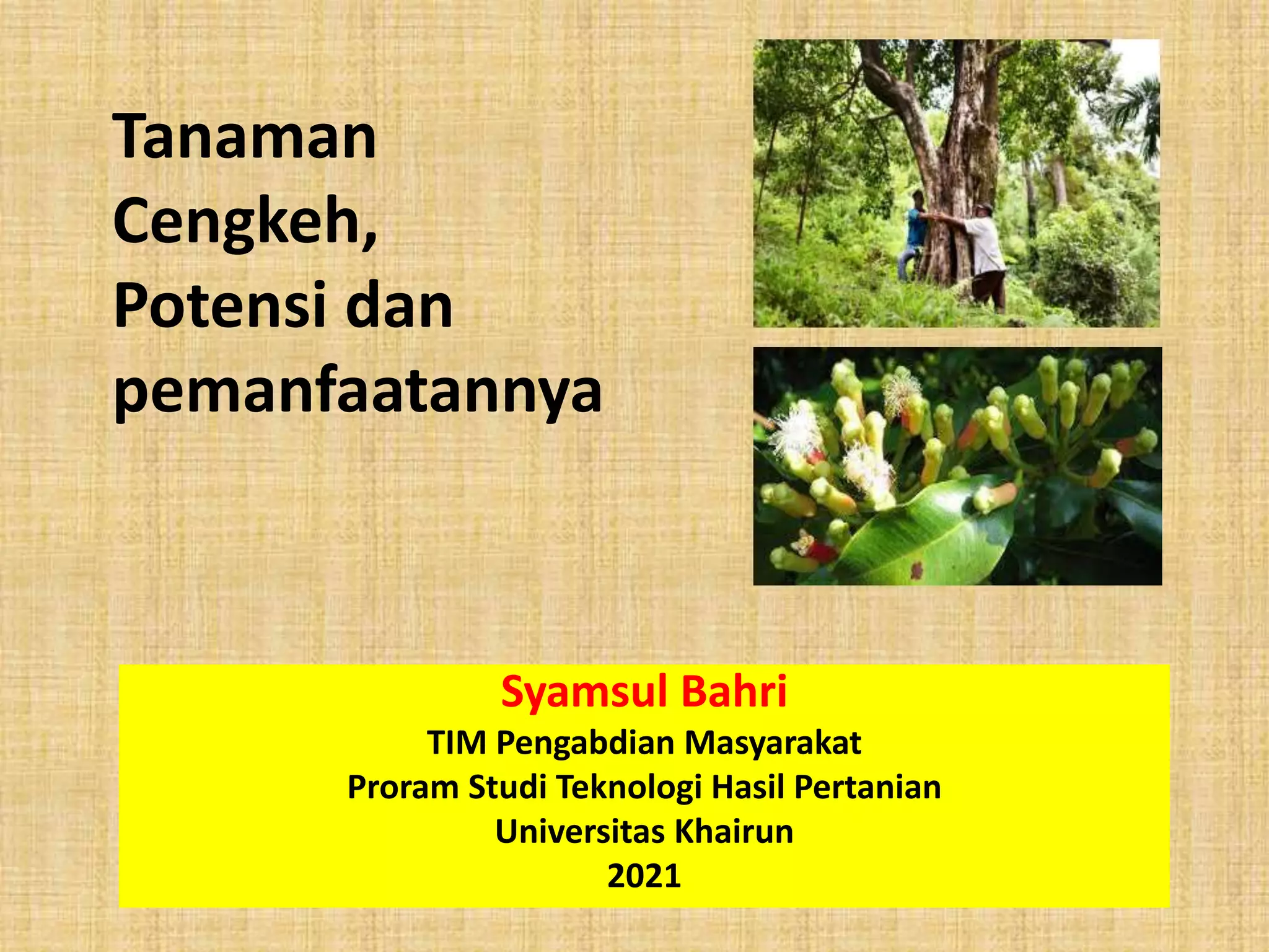 PPM, Tanaman Cengkeh, Potensi dan pemanfaatannya.pptx